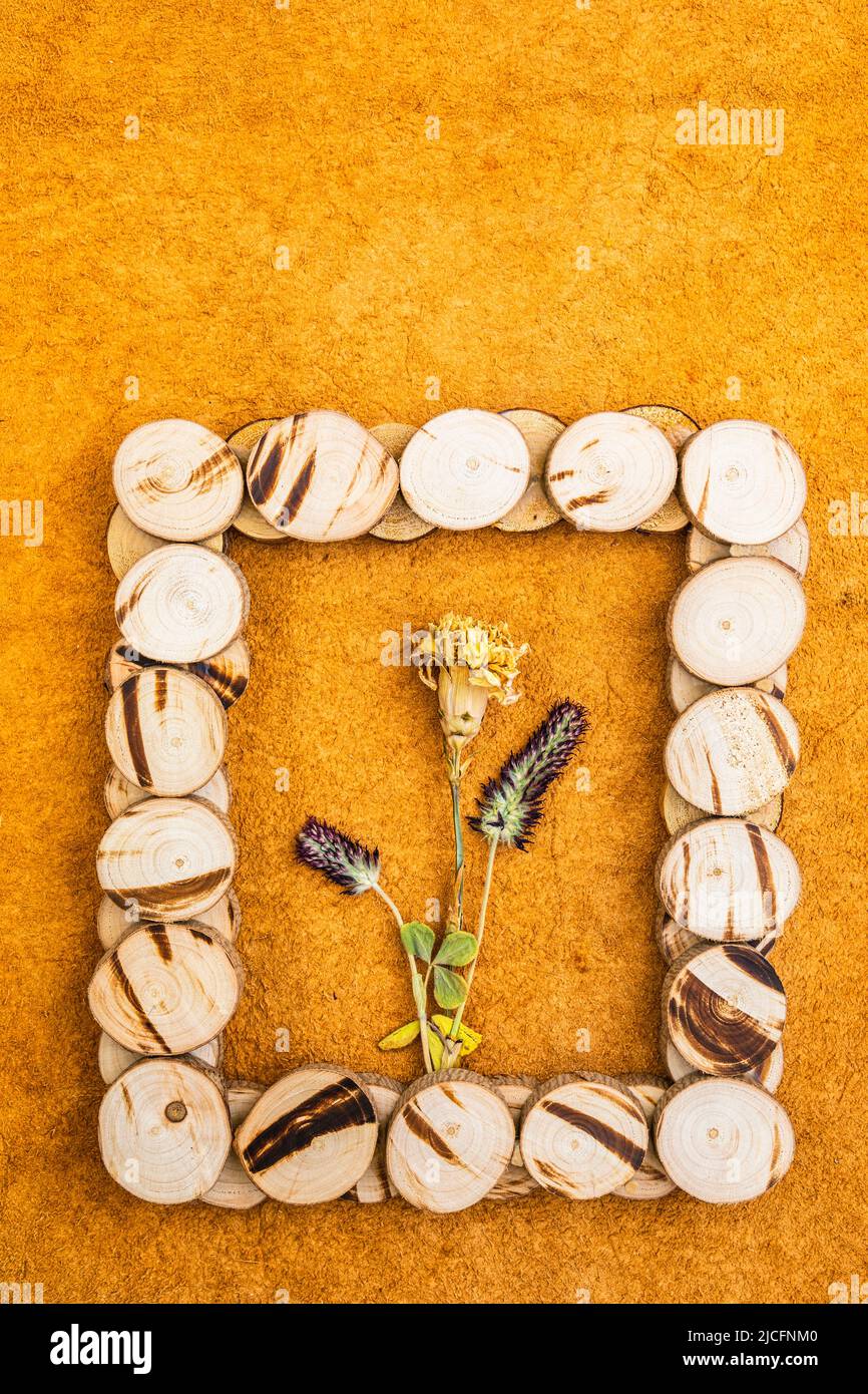 Frame from wooden discs, decoration with dried flowers, still life ...