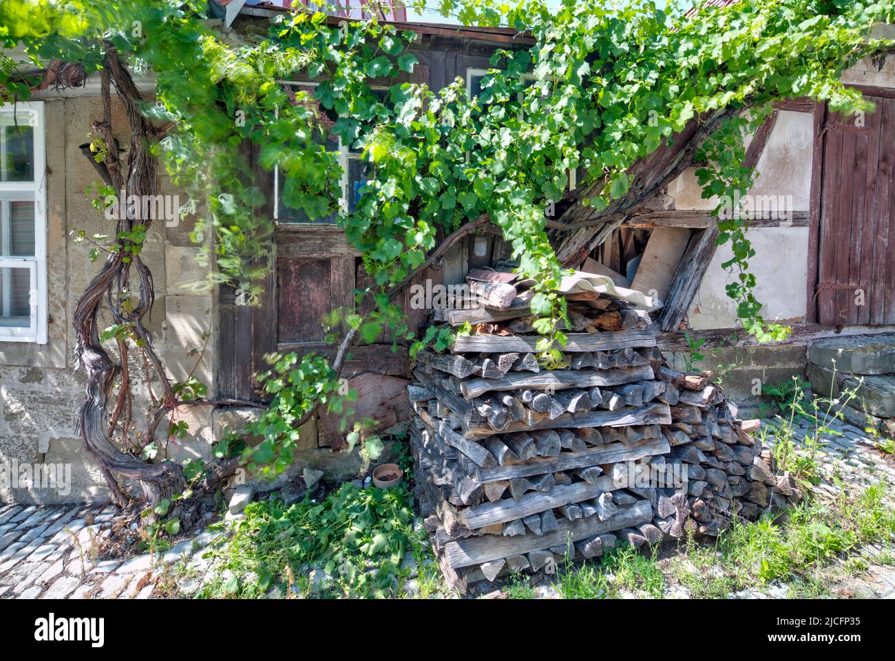 House facade, half-timbering, wood pile, vines, architecture, Castell ...