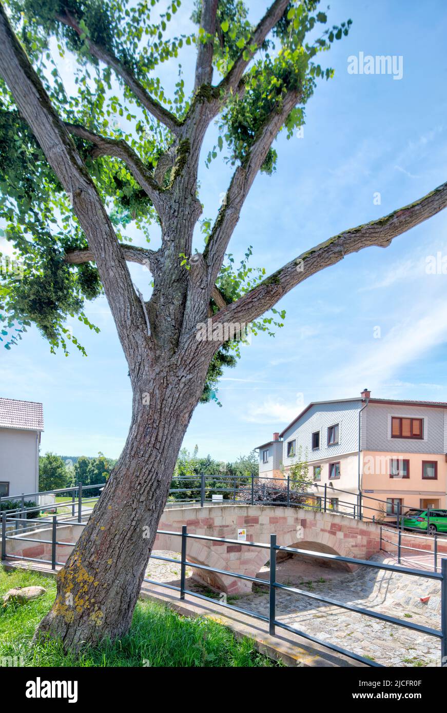 Historical bridge, goat path, millrace, village view, summer, Wasungen ...