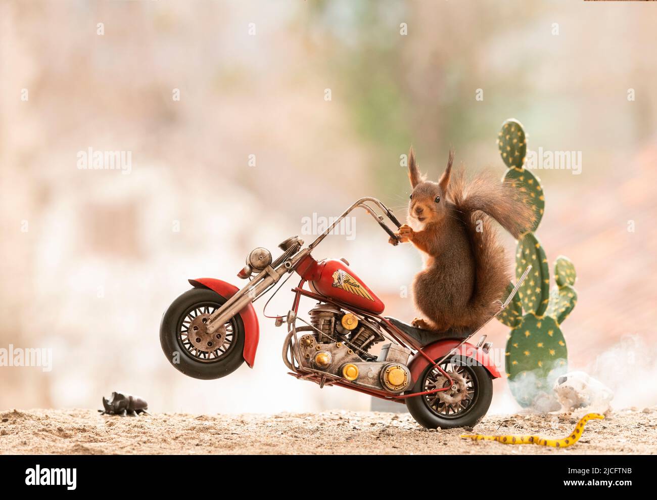 Motor bike hi-res stock photography and images - Alamy