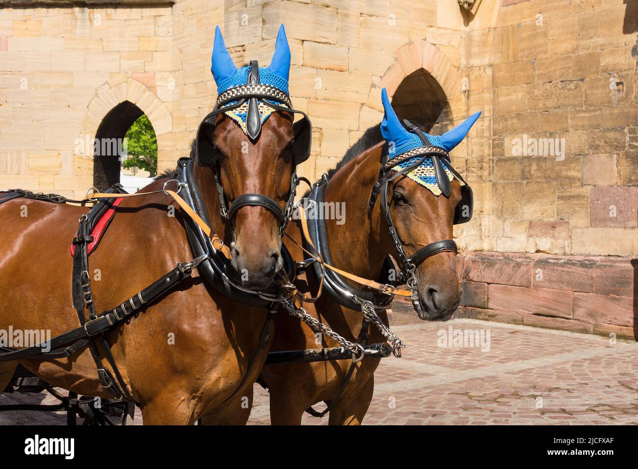 Old western town horse and carriage hi-res stock photography and images ...