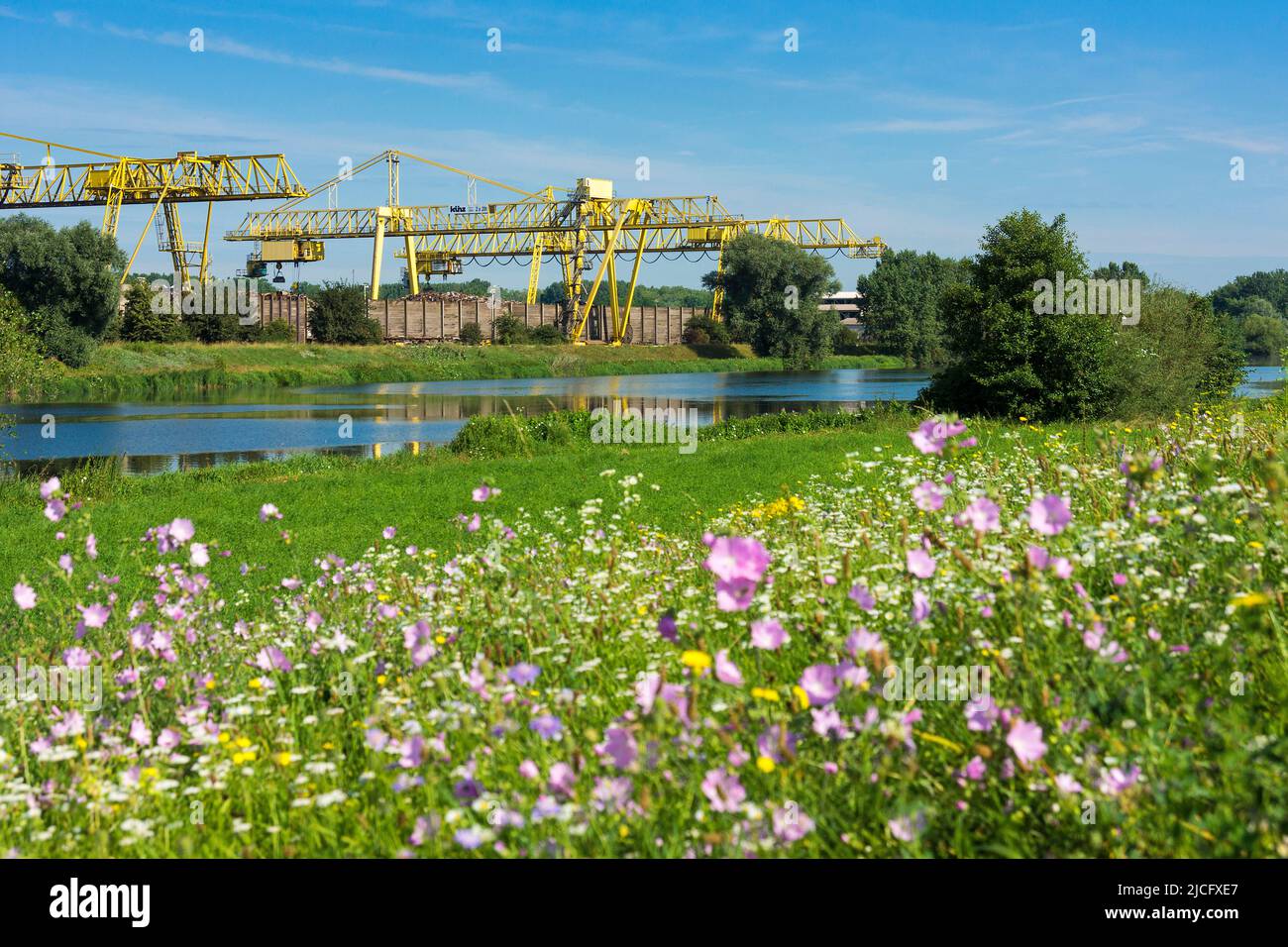 Germany, Baden-Wuerttemberg, Rhine cycle path, Kehl, port, cranes Stock ...