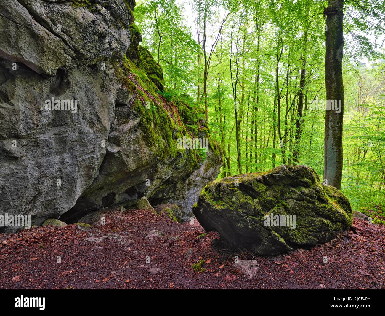 Europe, Germany, Hesse, Central Hesse, Westerwald, Hessian Westerwald ...