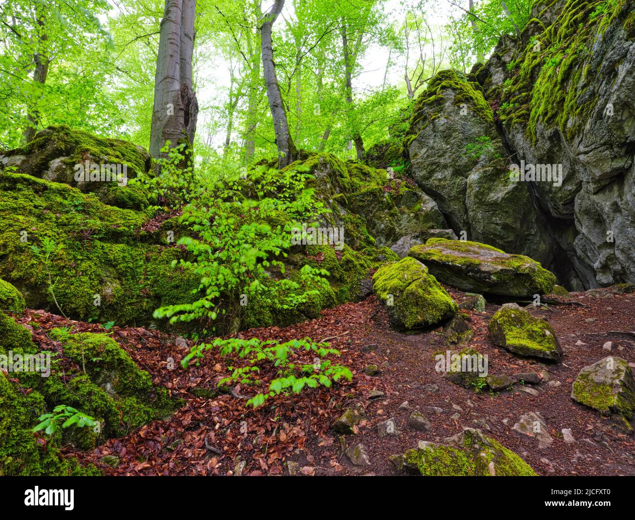 Westerwald lahn taunus geopark hi-res stock photography and images - Alamy