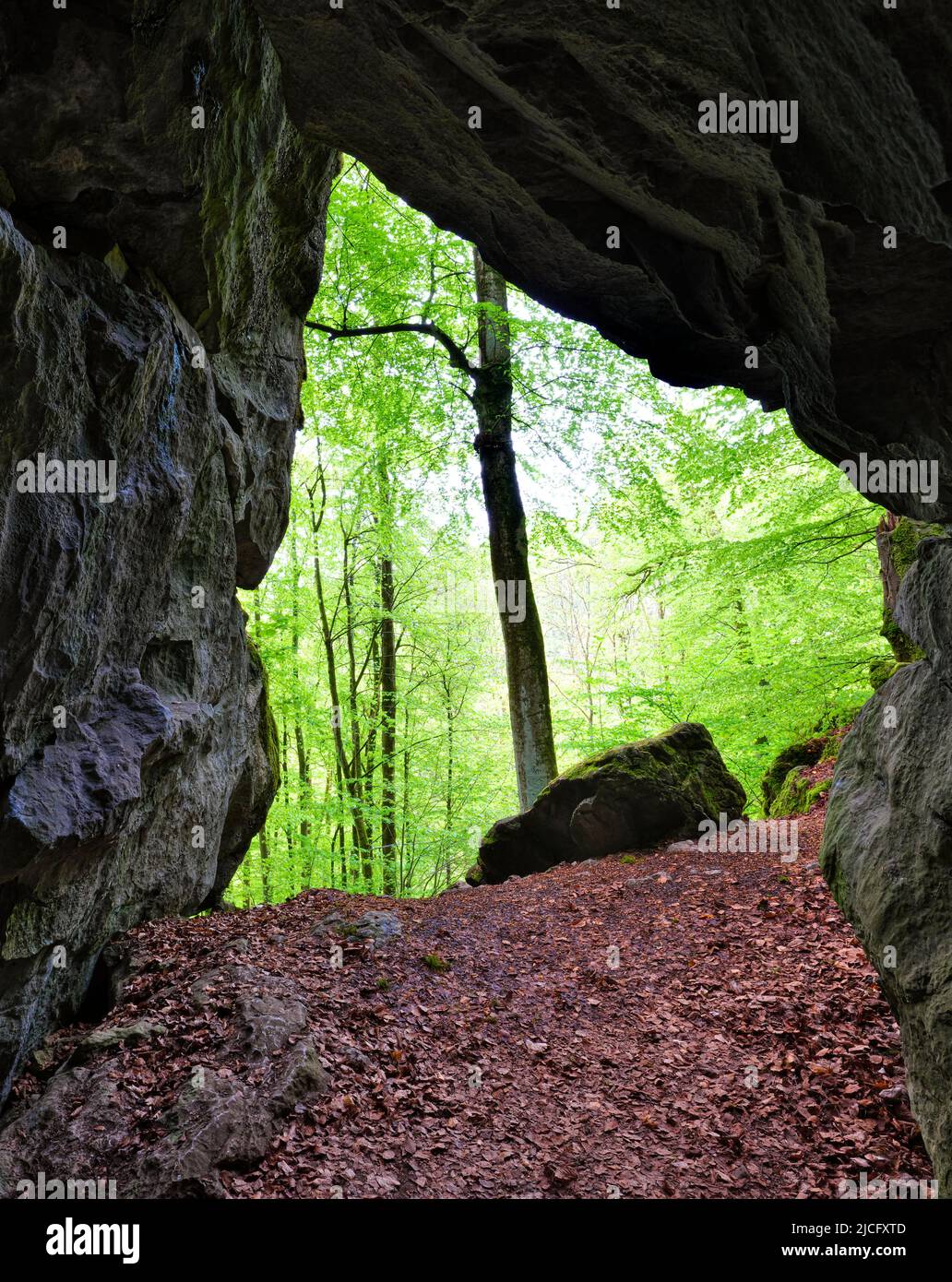 Europe, Germany, Hesse, Central Hesse, Westerwald, Hessian Westerwald ...