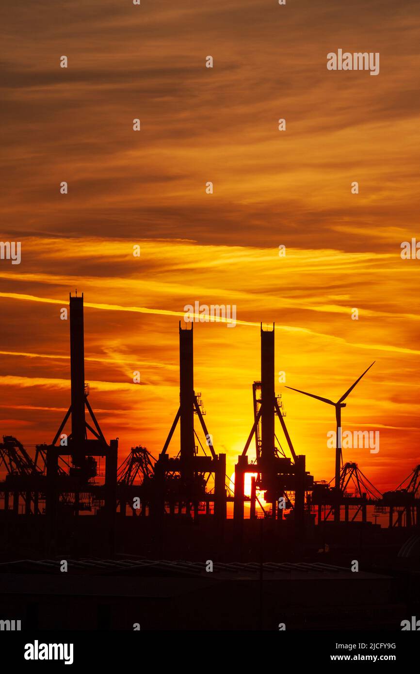 Sunset with harbor cranes in Hamburg harbor, Hamburg, Germany, Europe ...