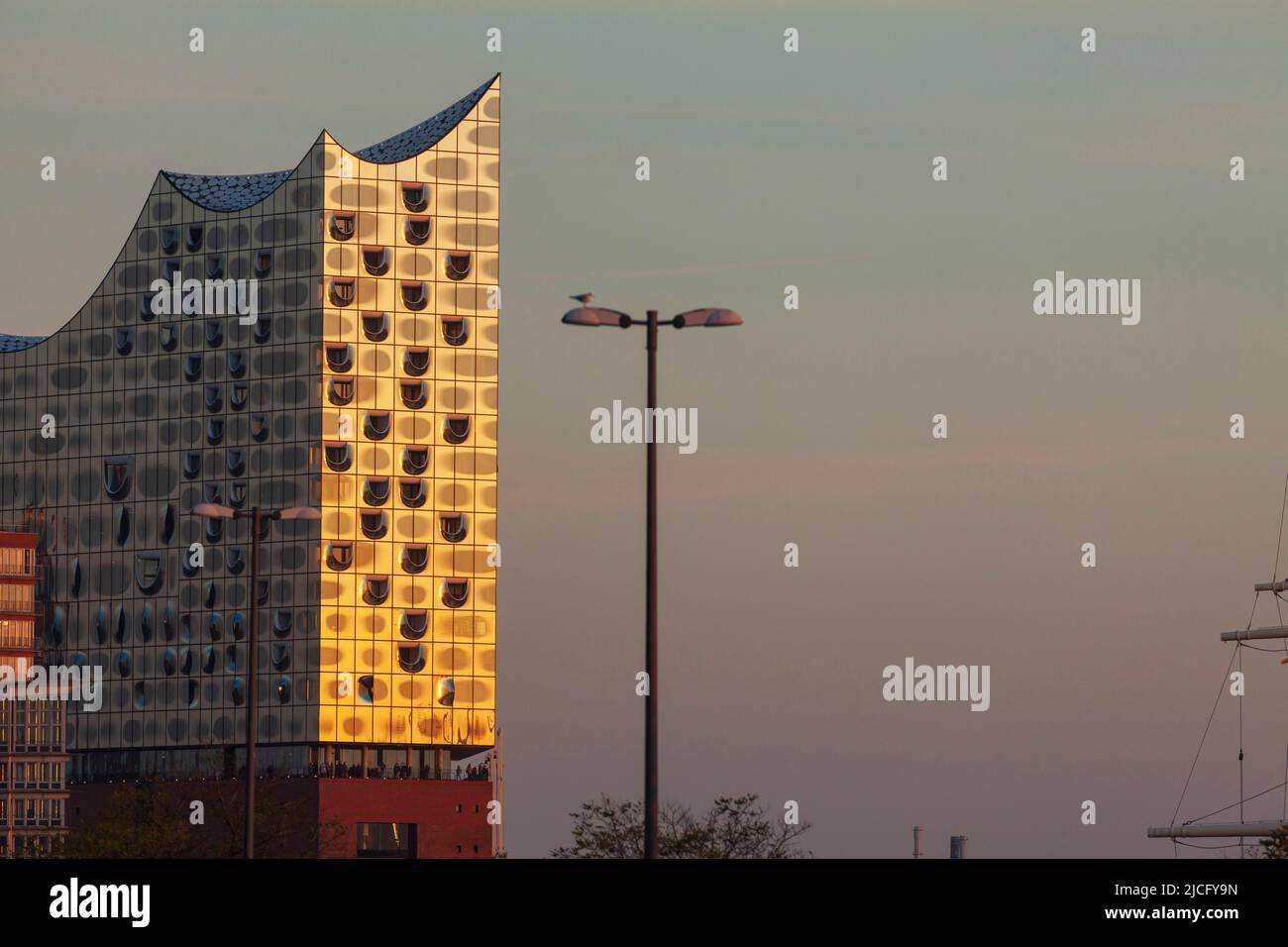 Elbphilharmonie in evening light, Hamburg, Germany, Europe Stock Photo ...