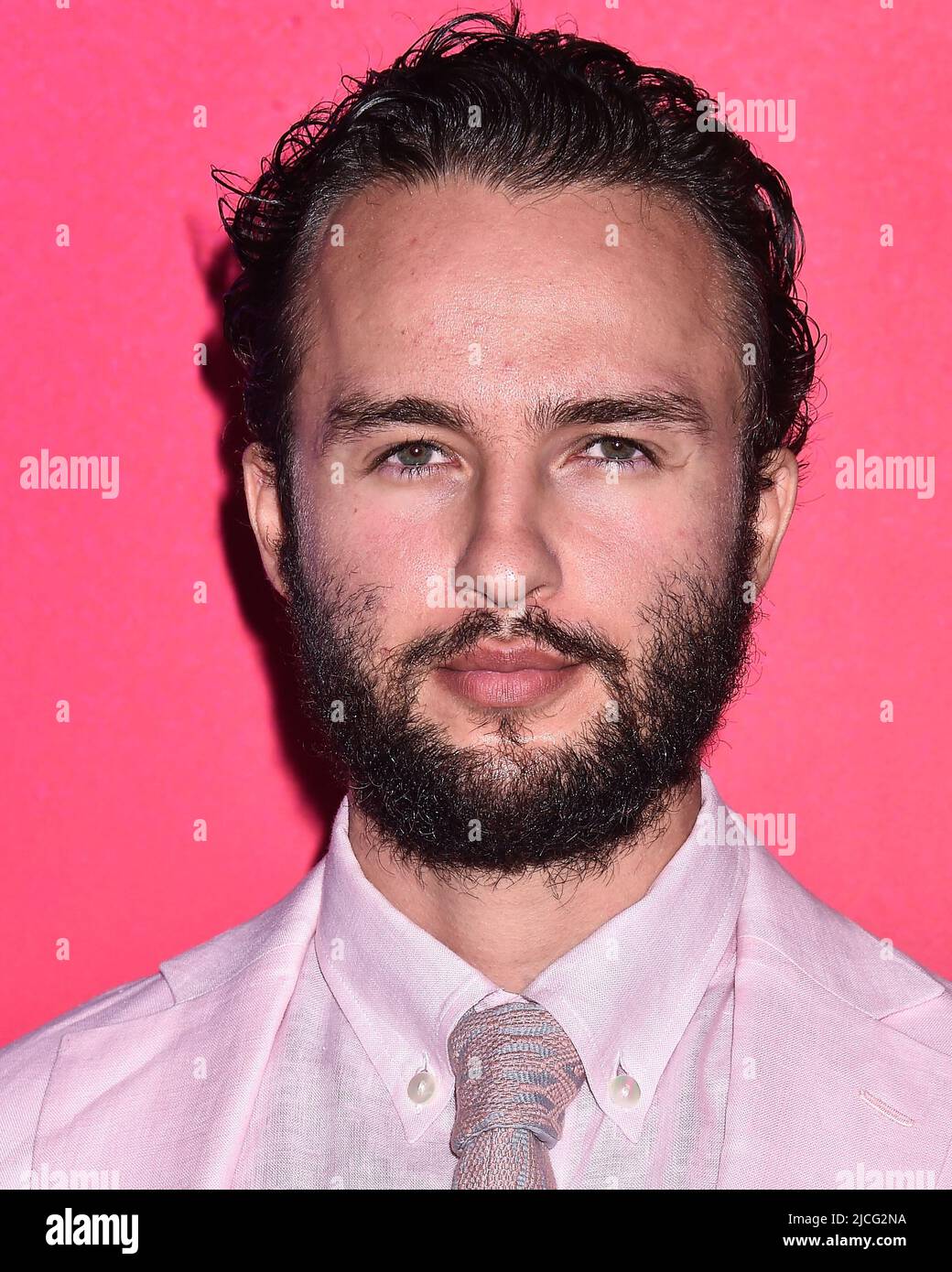 LOS ANGELES, CALIFORNIA, USA - JUNE 11: Australian actor Mojean Aria ...