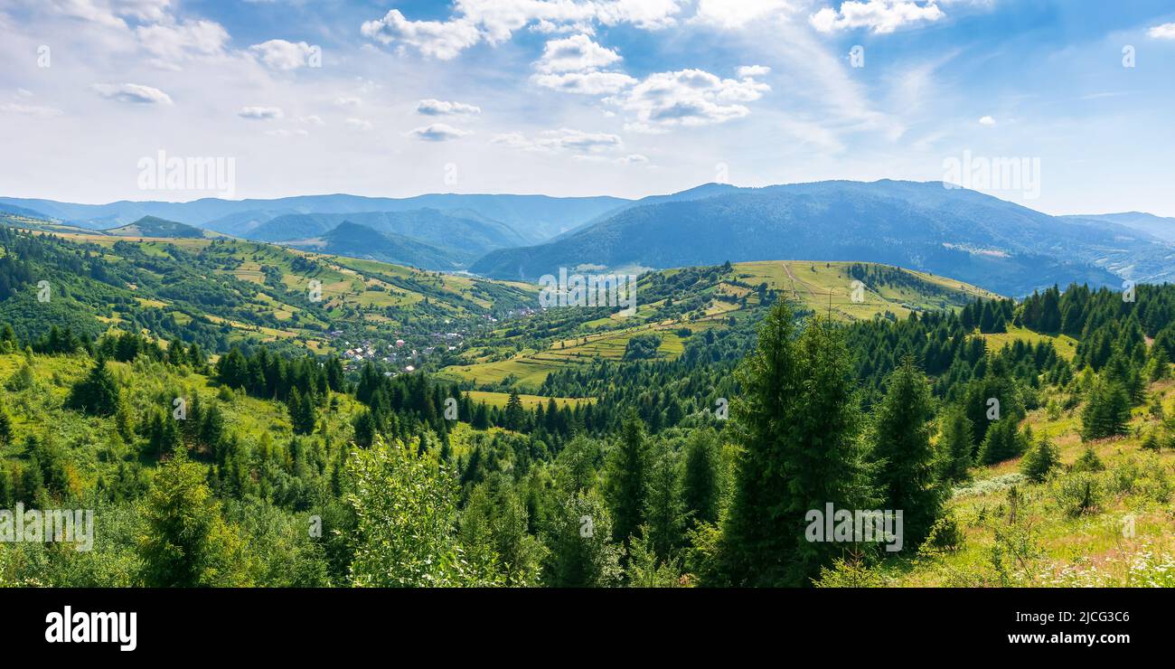 mountainous countryside landscape in summer. forested hill and grassy ...