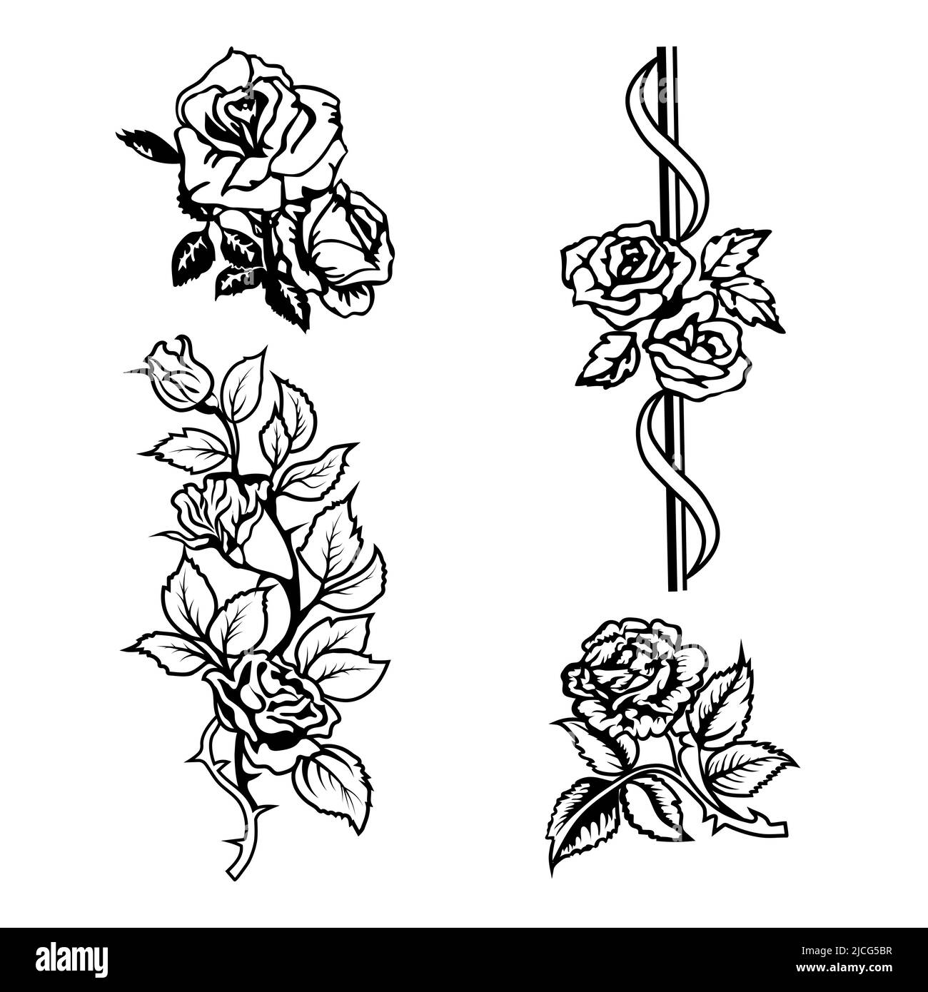 Editable set of four vector roses clipart on the white background ...
