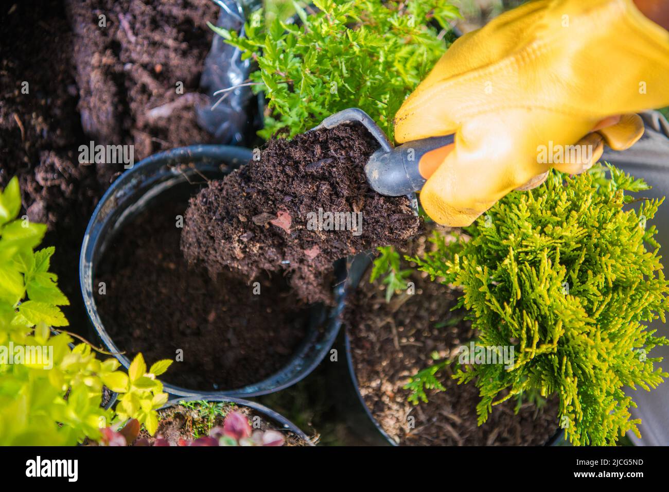 Closeup of the Potting Soil Being Poured Into Plant Pot Using Gardening ...