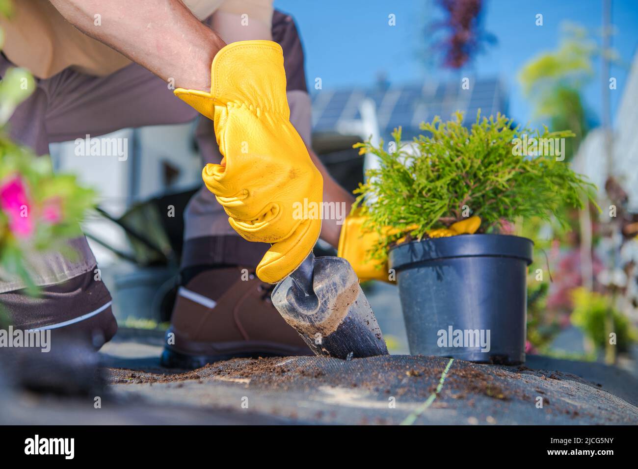 The Process of Arranging and Decorating a Garden. Closeup on Digging a ...