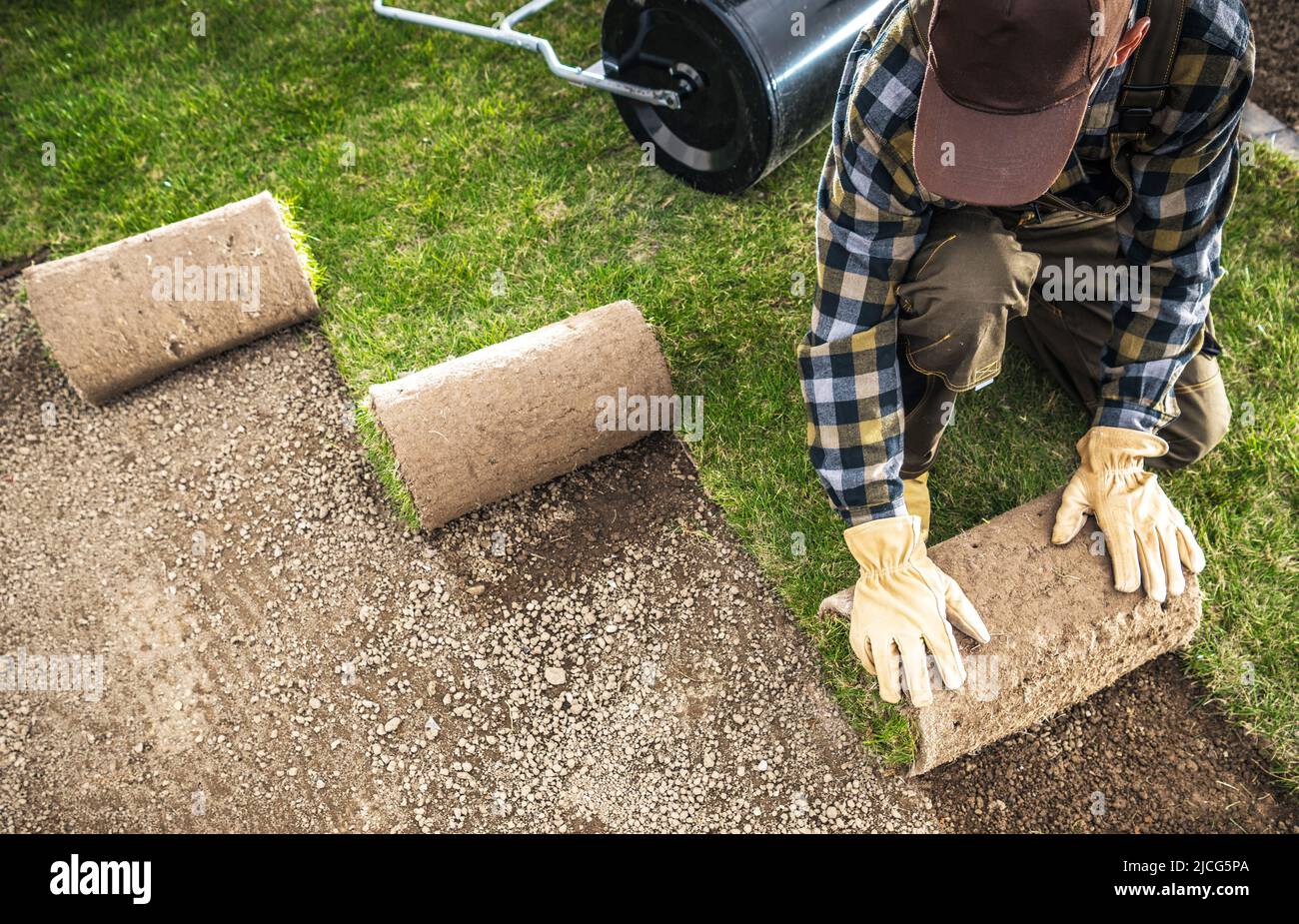 Professional Landscaper Rolling Out Natural Grass Turfs Inside Newly ...