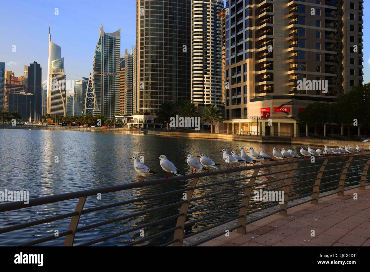 Berühmt, Dubai Marina, moderne Architektur und Atemberaubende Aussicht ...