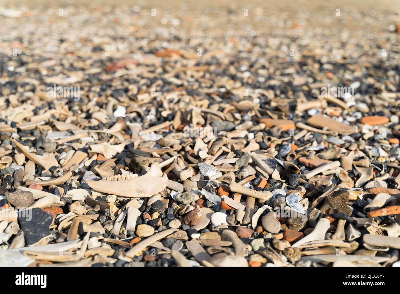 Broken bones hi-res stock photography and images - Alamy