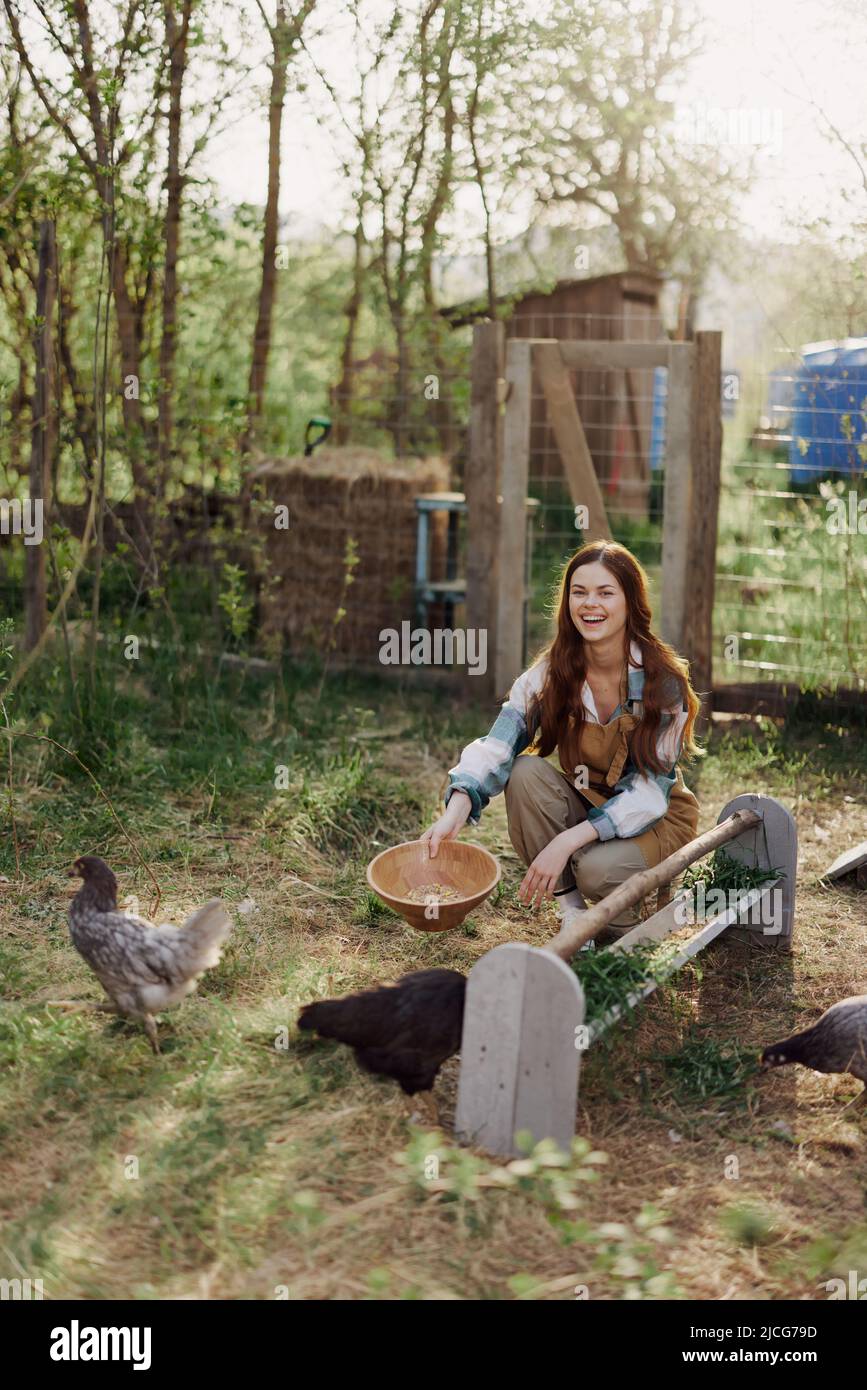 A woman works on a farm and feeds her chickens healthy food, putting ...