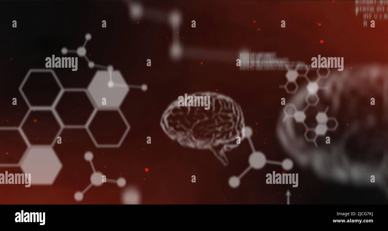 Image of data processing over digital brains on red background Stock ...