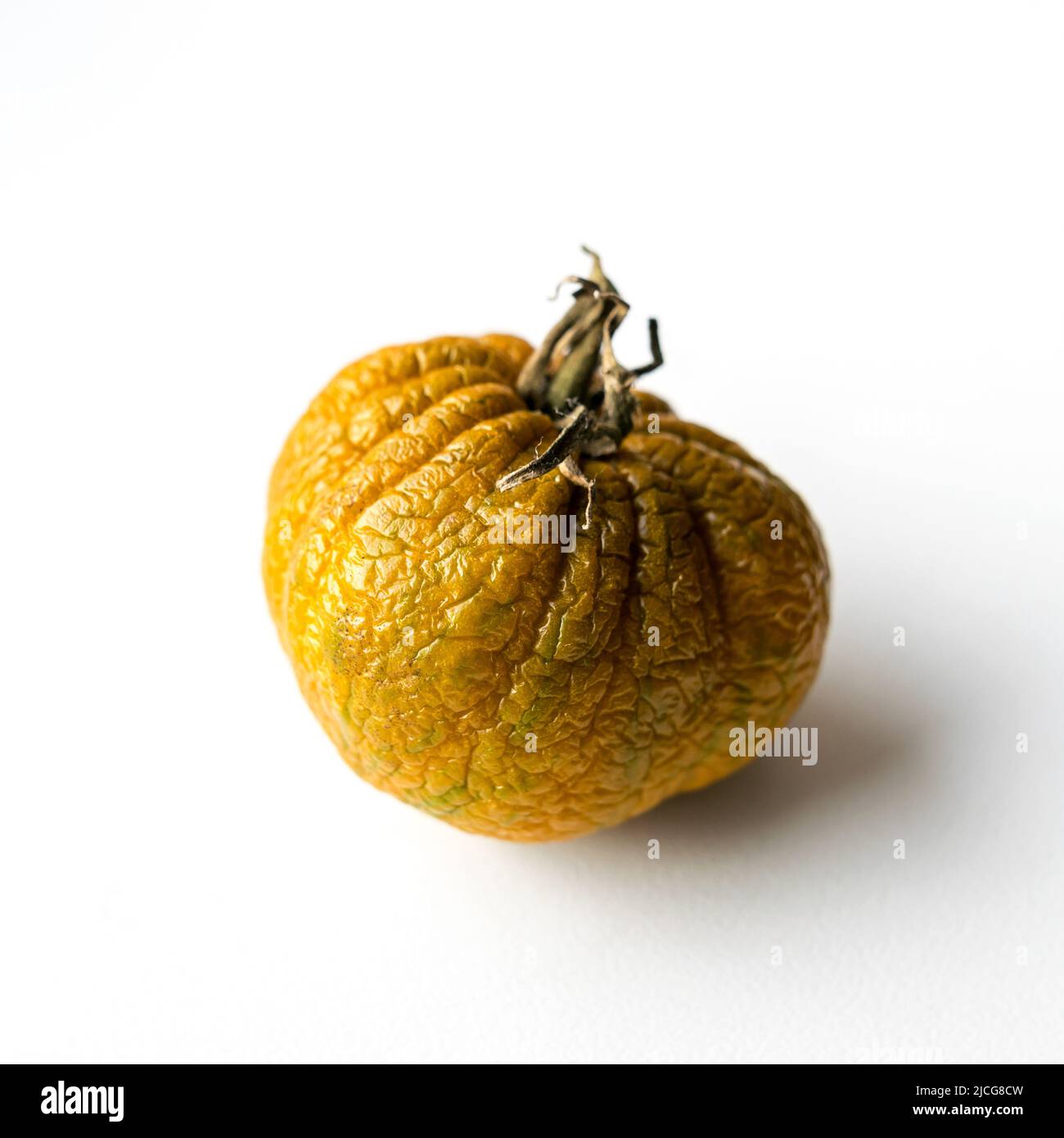 photo with withered and wrinkled tomatoes on a light background ...