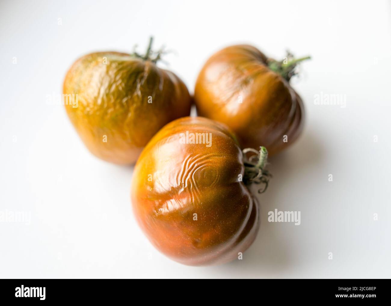 photo with withered and wrinkled tomatoes on a light background ...
