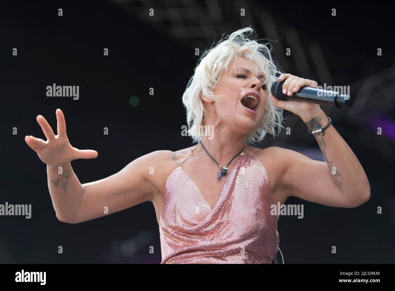 MICHELLE, singer, pop singer, musician, singing, singing, concert ...