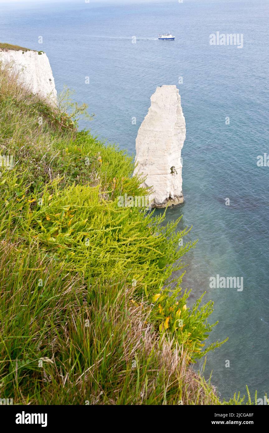 Old Harry Rocks and the Pinnacles, Dorset, England Stock Photo - Alamy