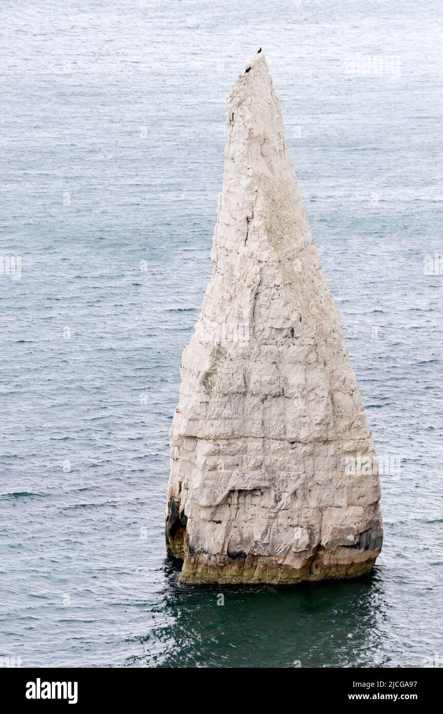 Old Harry Rocks and the Pinnacles, Dorset, England Stock Photo - Alamy
