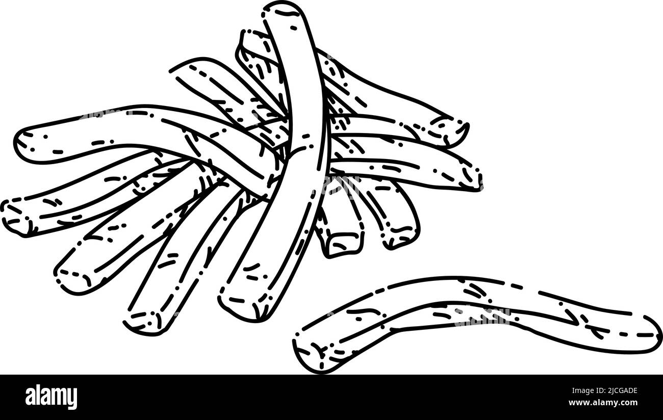 french fries sketch hand drawn vector Stock Vector Image & Art - Alamy