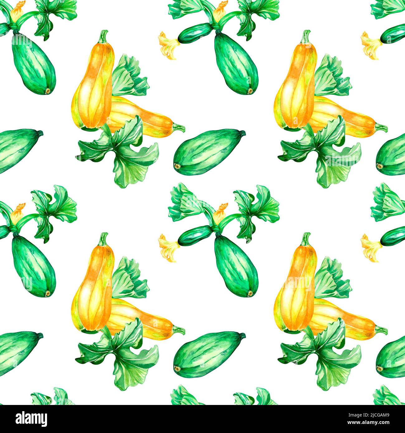 Variety of zucchini plants watercolor illustration seamless pattern on ...
