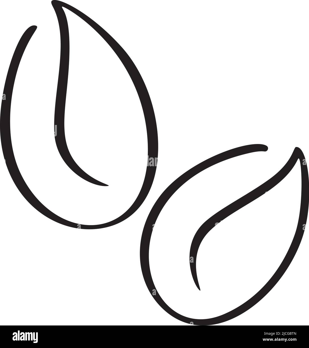 Vector calligraphy logo two coffee bean. Black and white calligraphic ...