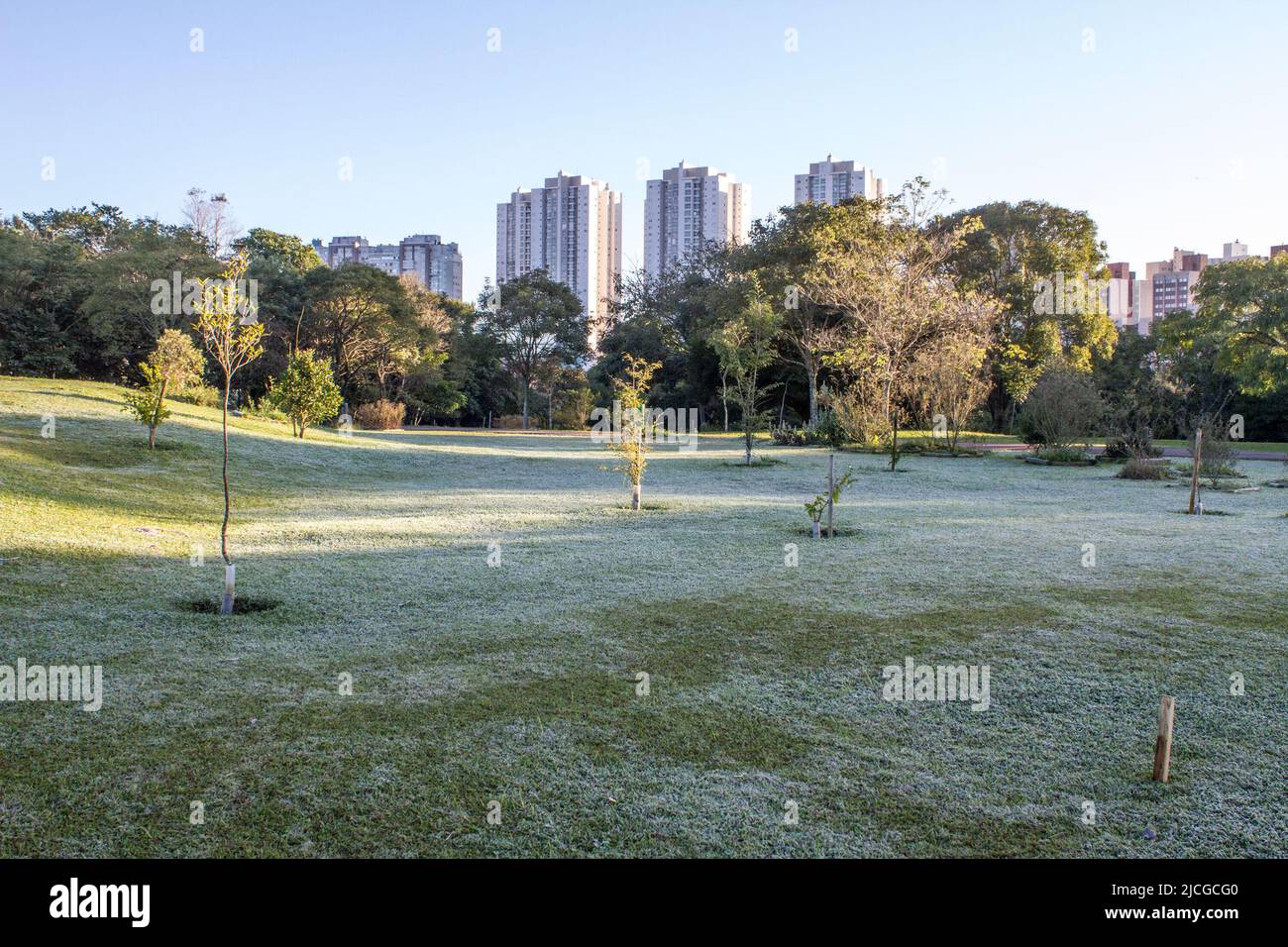 PR - Curitiba - 06/13/2022 - CURITIBA, CLIMATE - View of the frost on ...