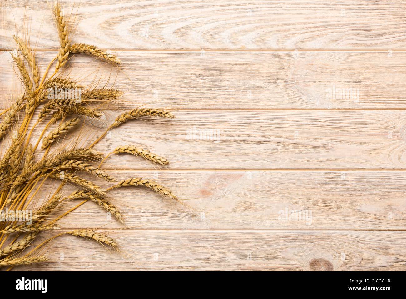 Sheaf of wheat ears close up and seeds on colored background. Natural ...