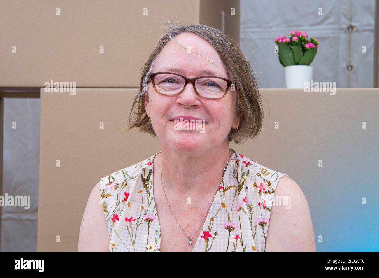 Shari lapena hi-res stock photography and images - Alamy