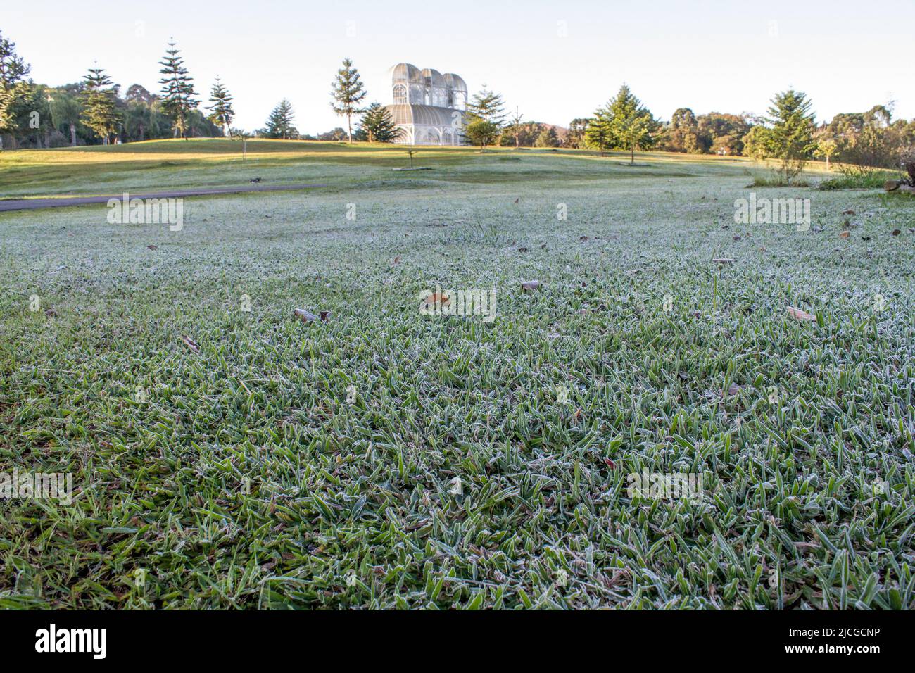 PR - Curitiba - 06/13/2022 - CURITIBA, CLIMATE - View of the frost on ...