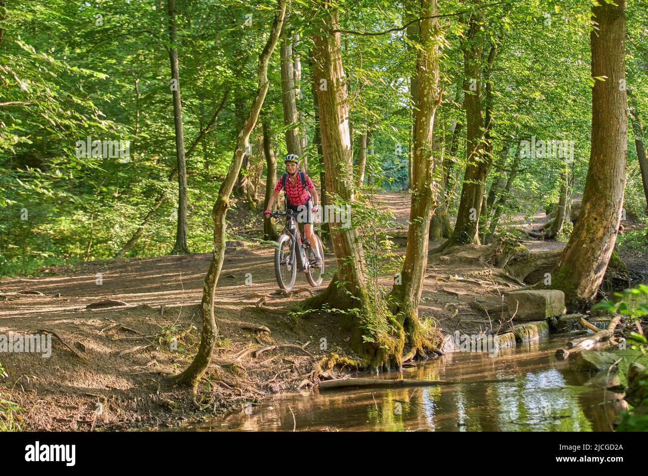 nice active senior woman riding her electric mountain bike in the green ...