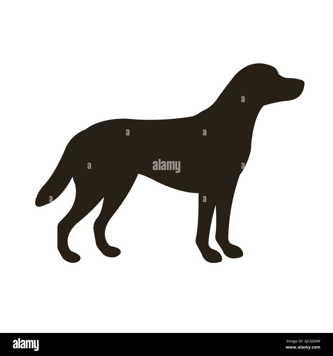 Vector flat labrador dog silhouette isolated on white background Stock ...