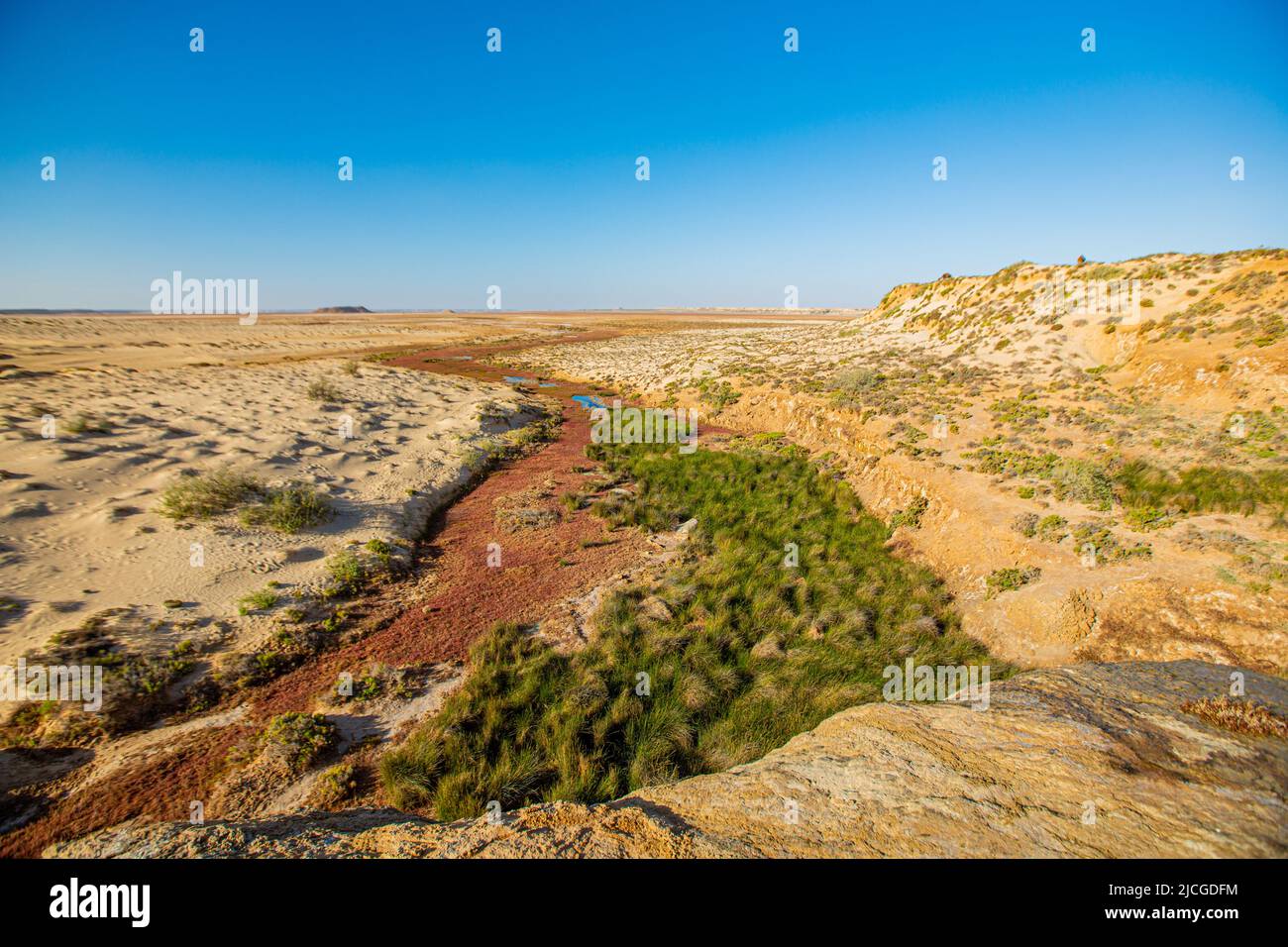 An oasis and a small waterfall in the middle of the Moroccan Sahara ...