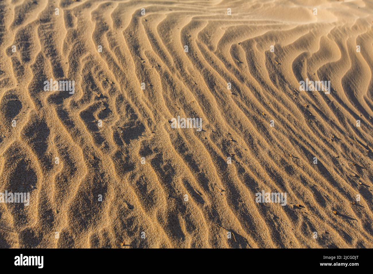 The sand dunes of the Moroccan sahara desert Stock Photo - Alamy