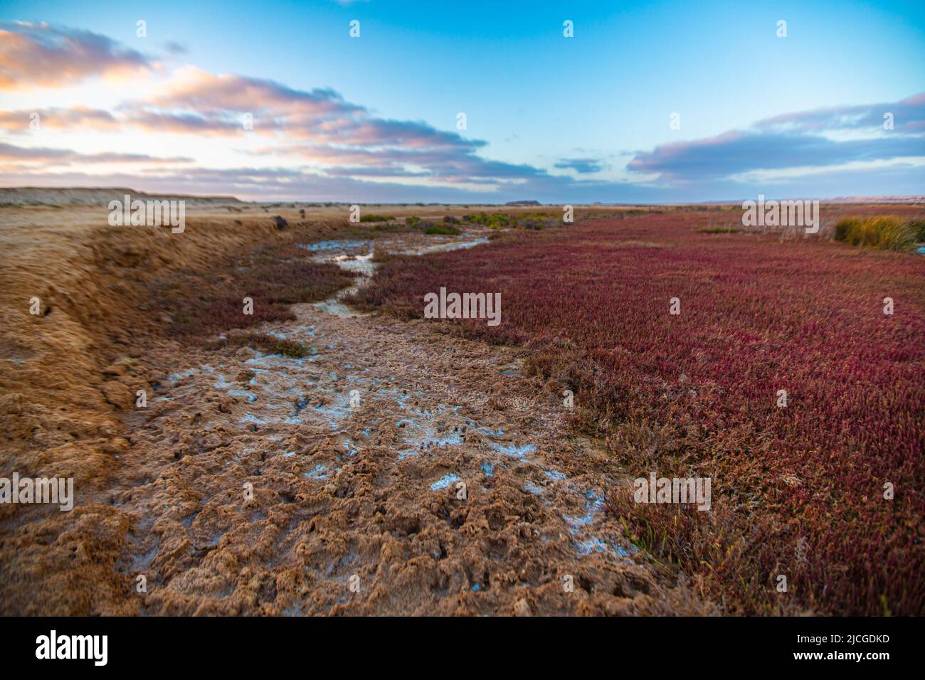 Salt lake in the middle of the Moroccan Sahara Stock Photo - Alamy