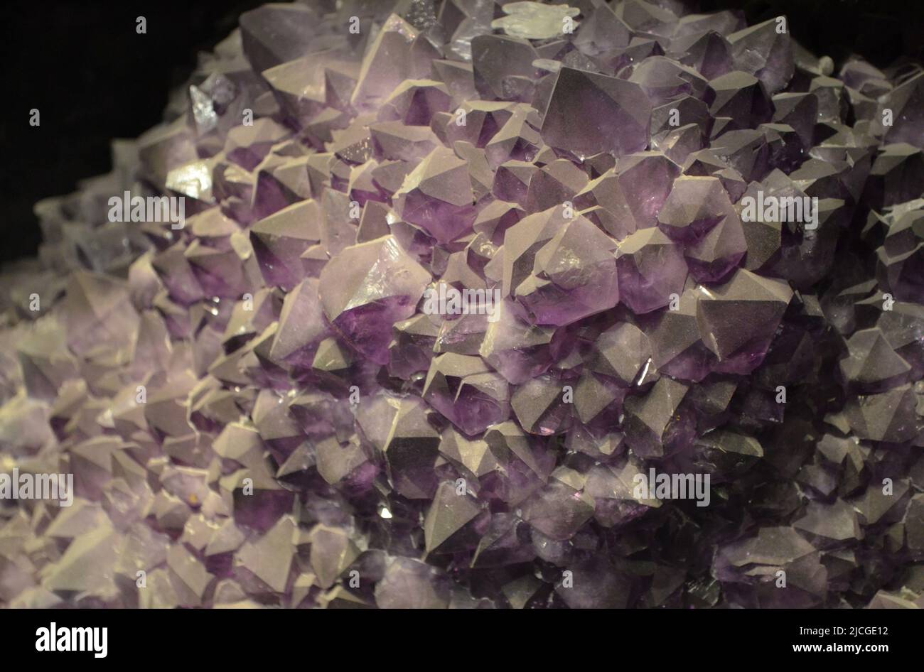 Large cluster of purple amethyst crystals growing together in a clump ...