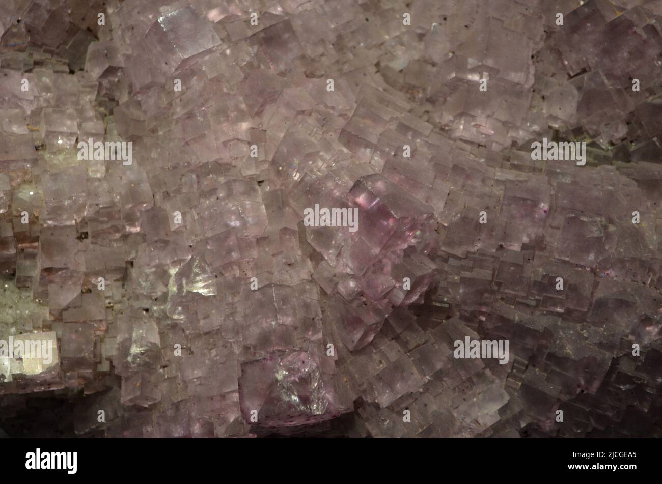 Large pale lavender fluorite crystal geode cluster catching the light ...