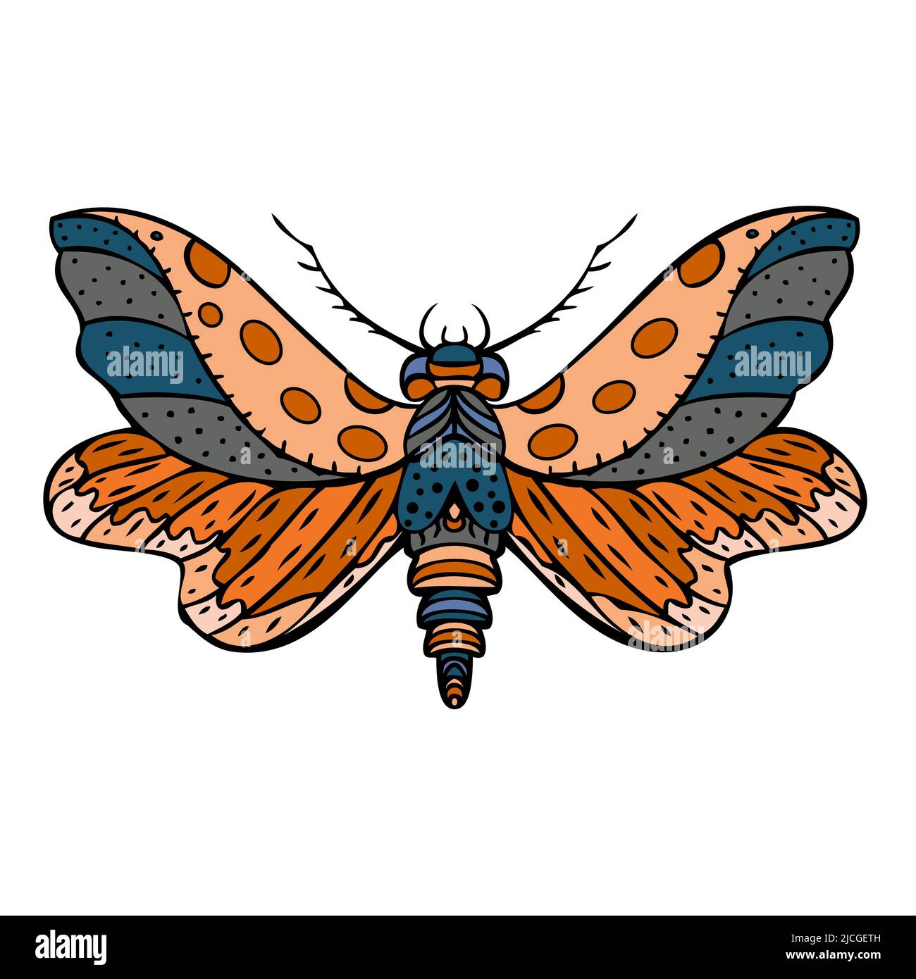 Night butterfly dark Cut Out Stock Images & Pictures - Alamy