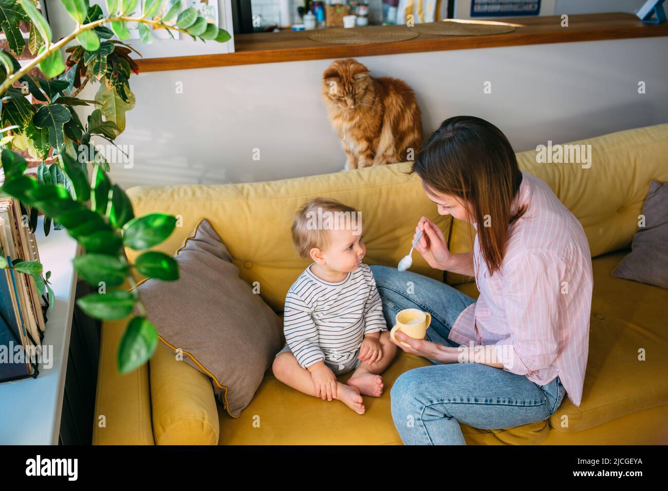 Mom feeds a small child at home with yogurt from a spoon. Family ...