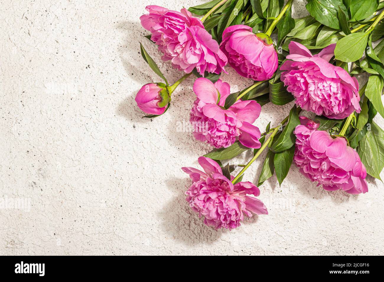 Fragrant pink peonies bouquet. Summer plaster background, seasonal ...