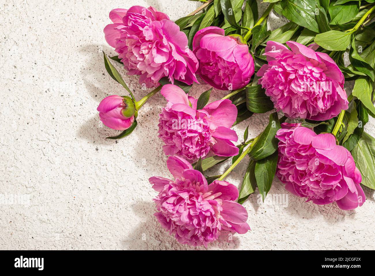 Fragrant pink peonies bouquet. Summer plaster background, seasonal ...