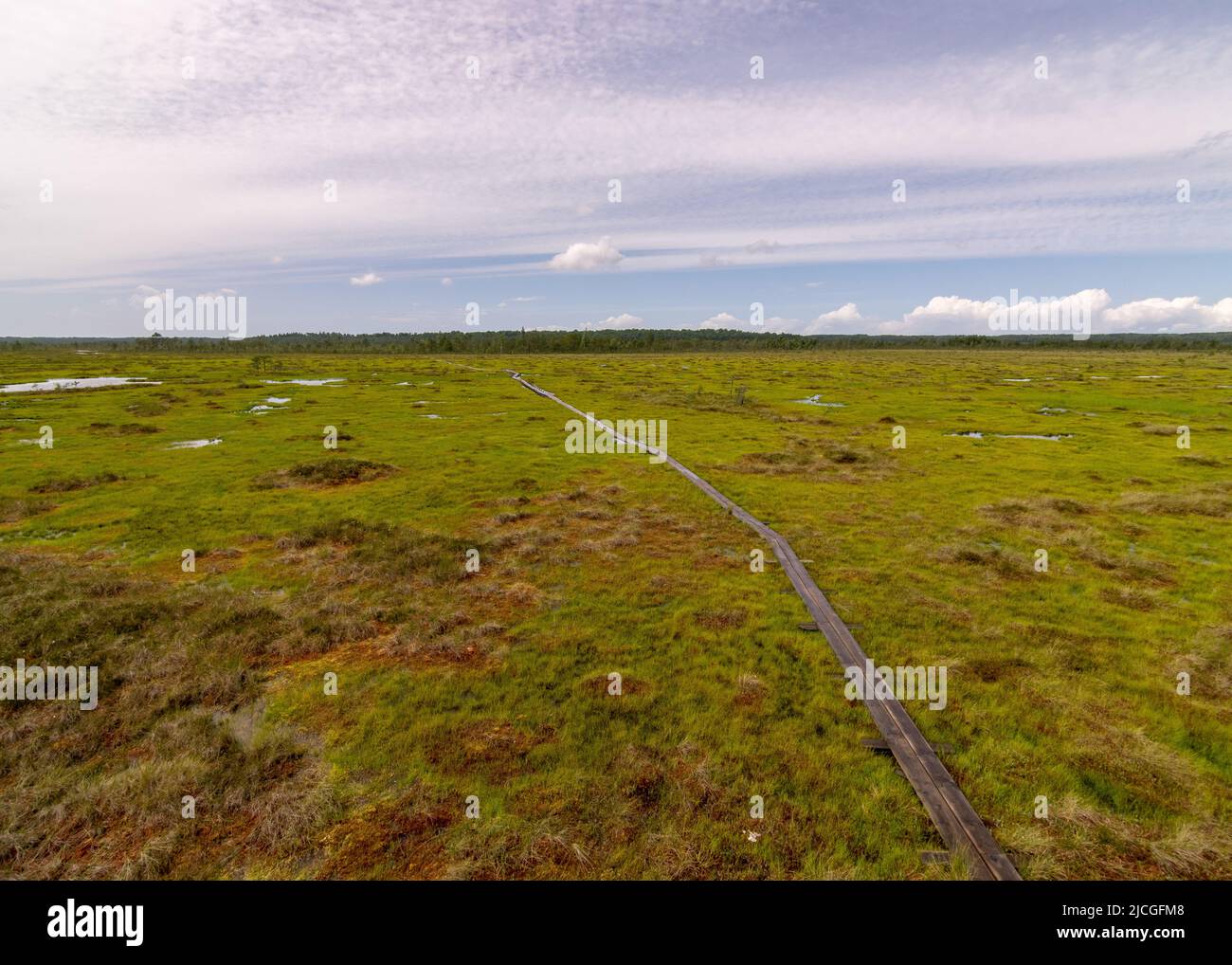 landscape with a pedestrian wooden footbridge over swamp wetlands with ...