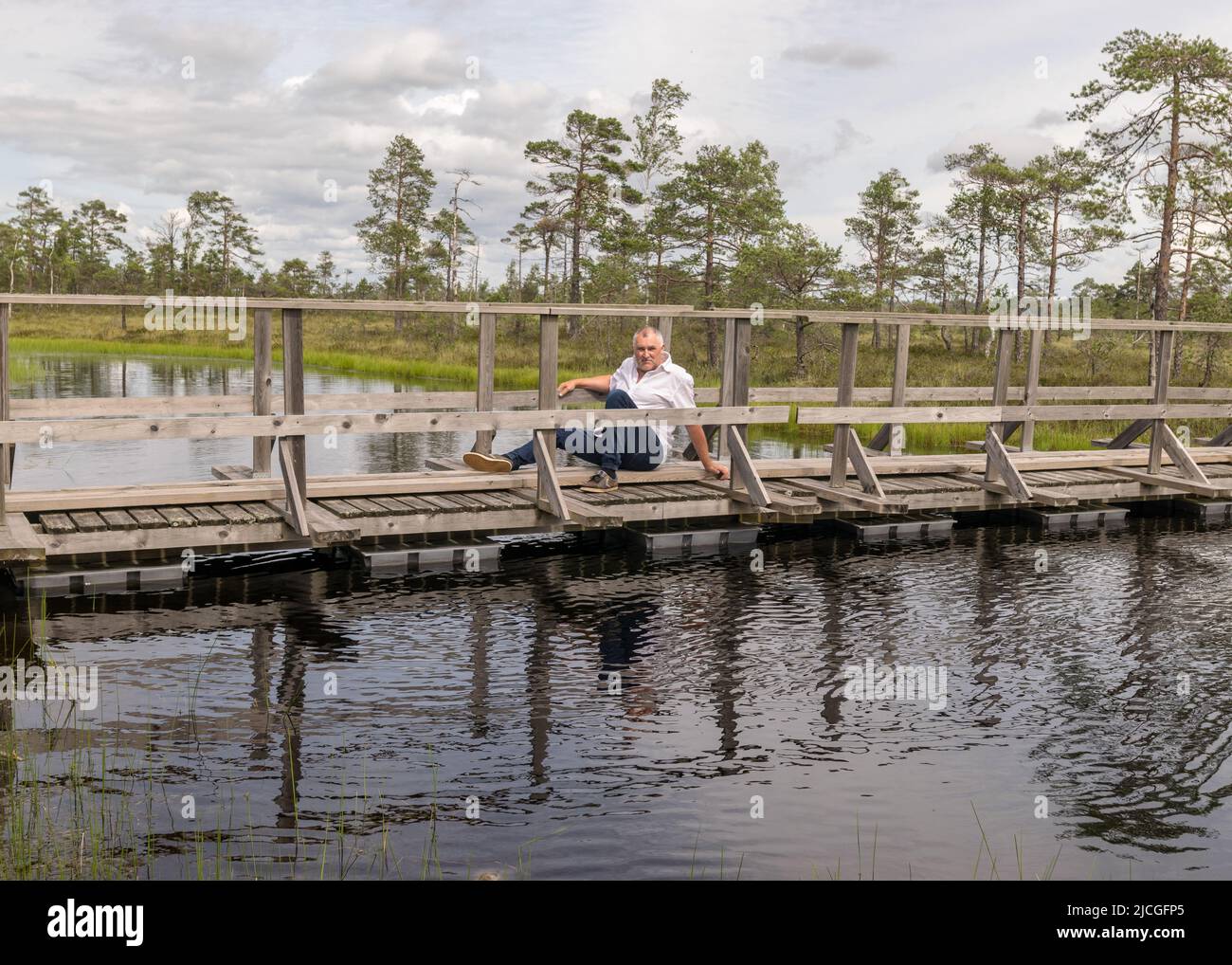 landscape in the summer swamp. a man in a white shirt sits on a wooden ...