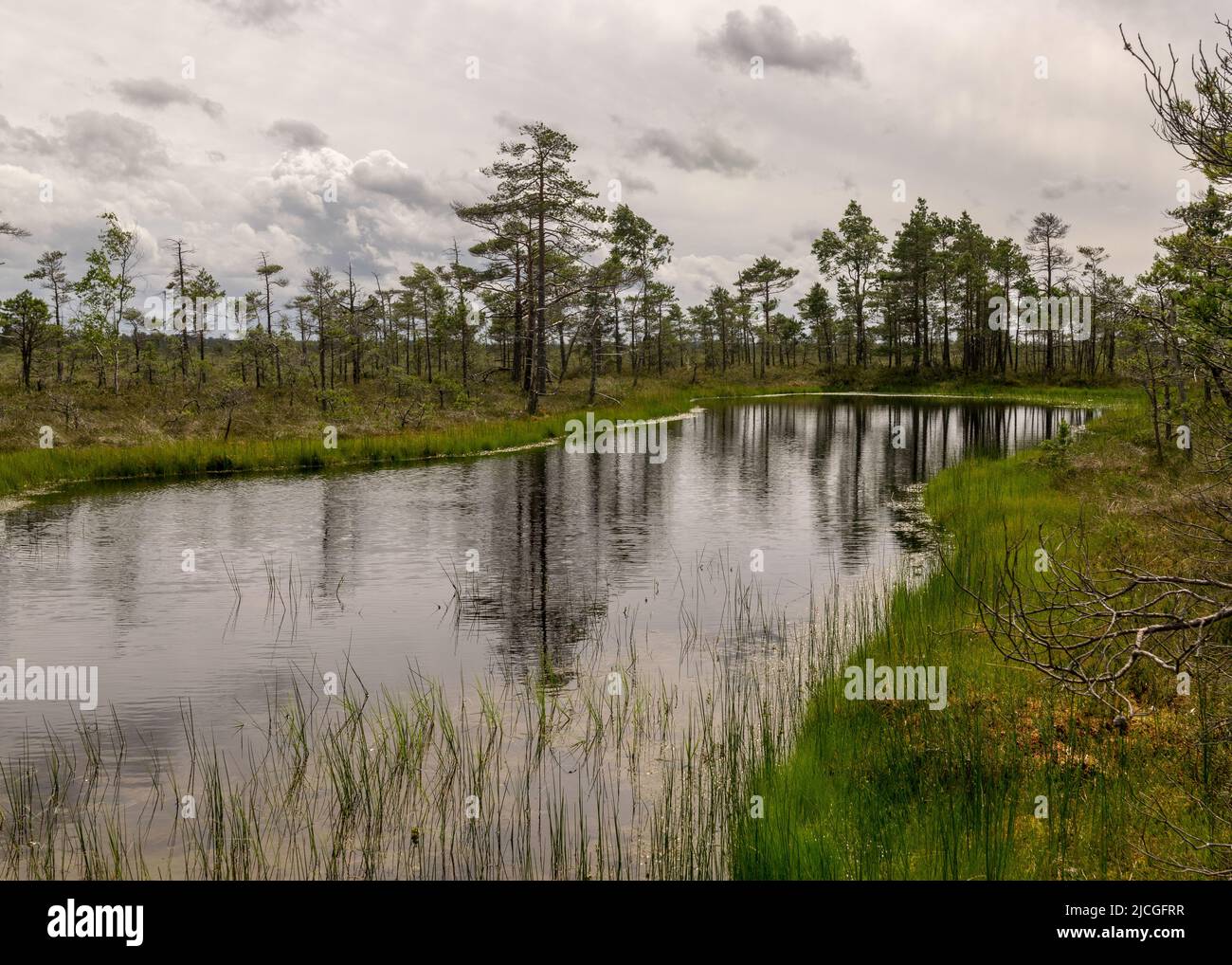 landscape with stunning bog views. beautiful clouds. View of the ...