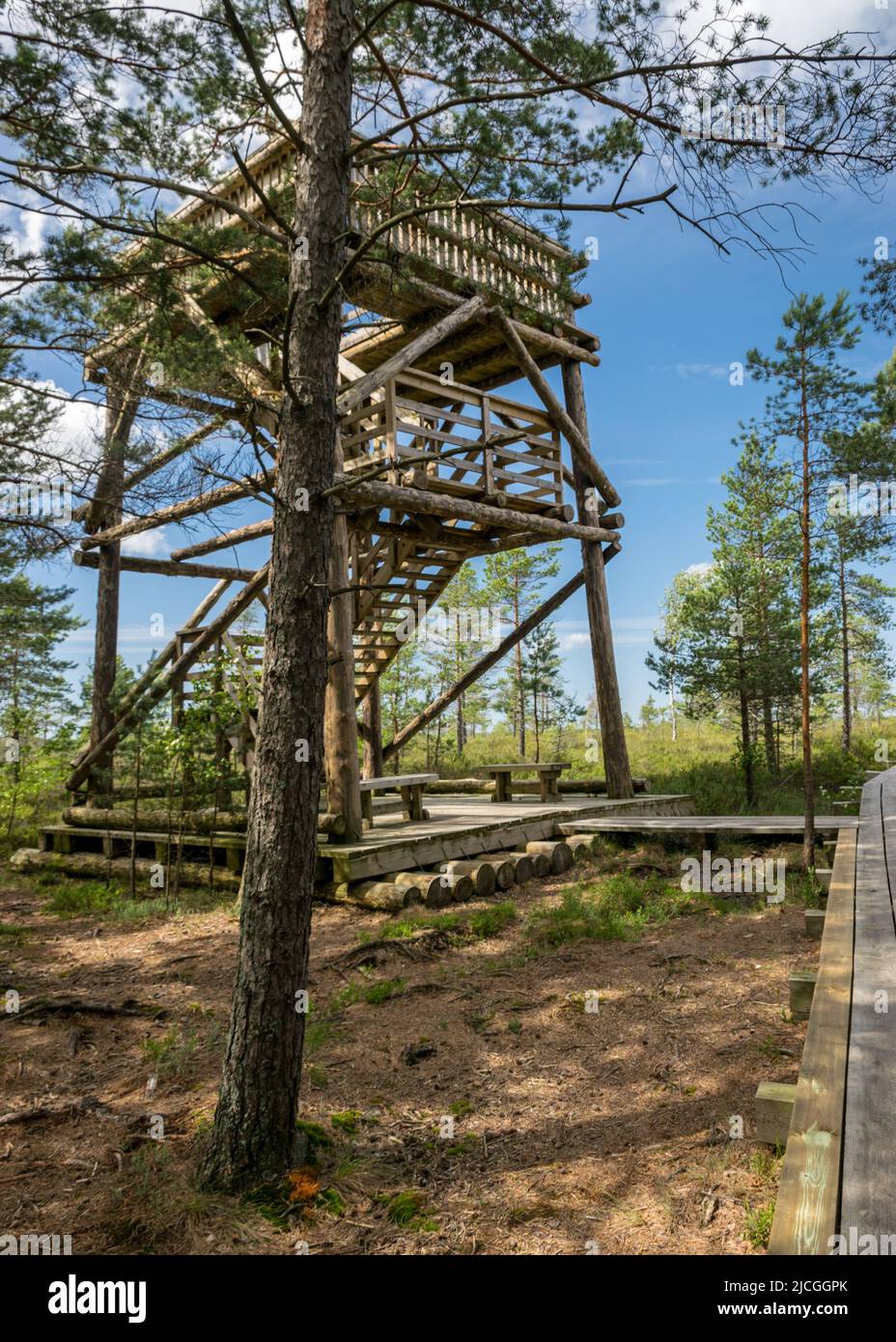 landscape with a wooden nature observation tower on the side of the bog ...