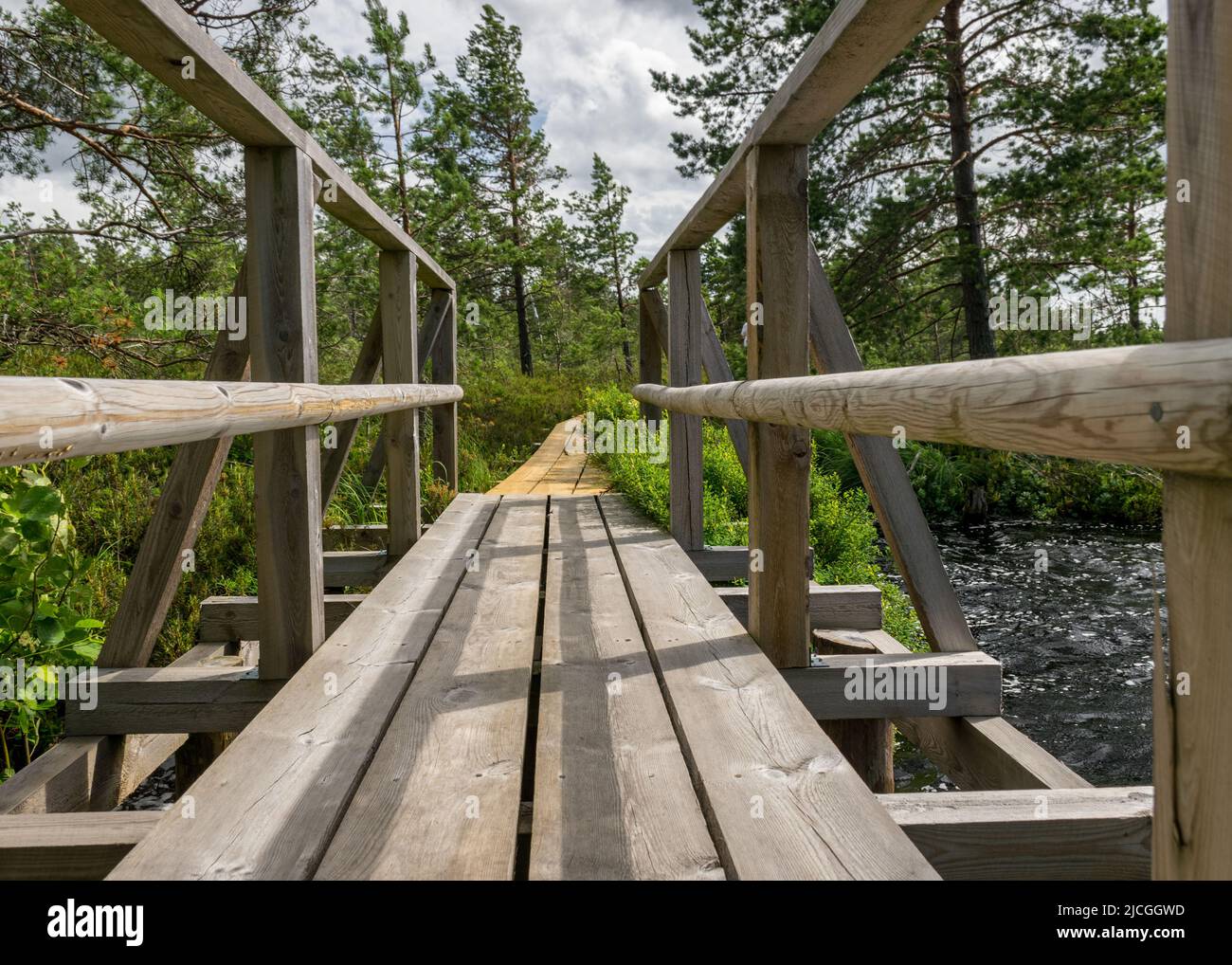 windy landscape with a swamp lake, a wooden pedestrian bridge, the lake ...