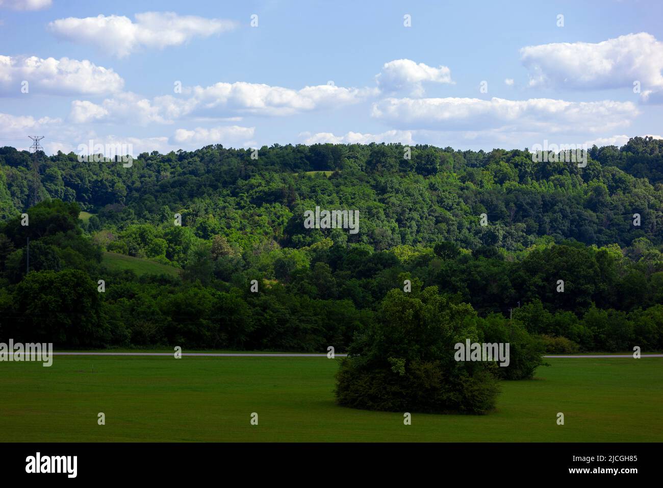 Lush green trees in an open meadow with tree covered hills and a partly ...